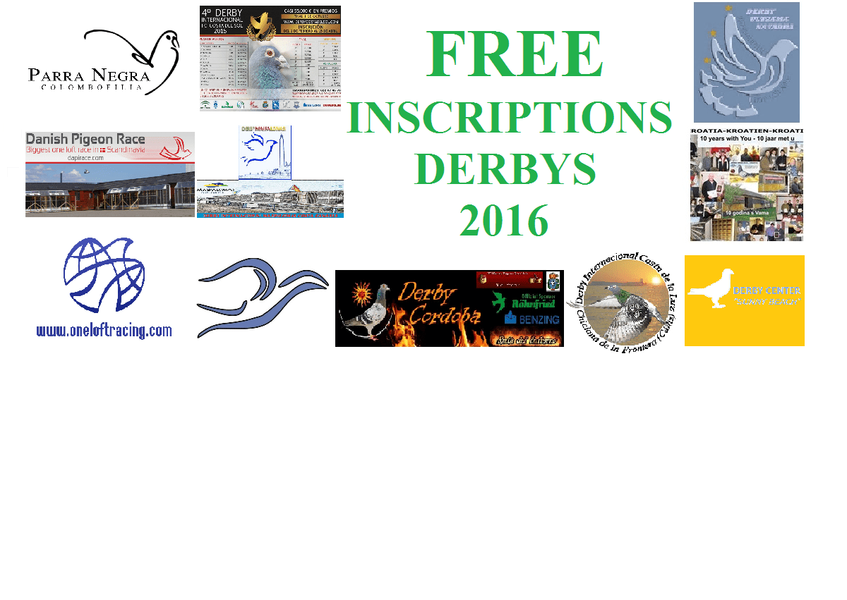 FREE INSCRIPTIONS 2016: DERBYS AND ONE LOFT RACES - ONE LOFT RACING
